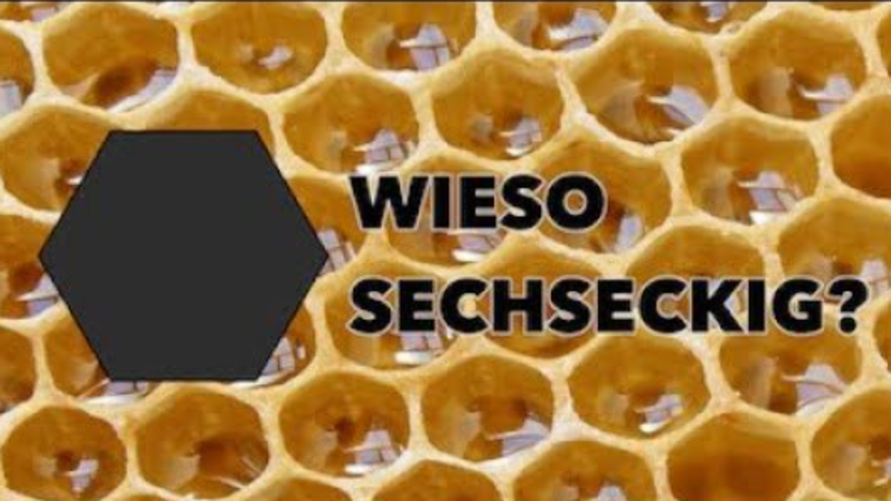 Wieso sind die Zellen der Bienenwaben hexagonal? - dasstilleerwachen